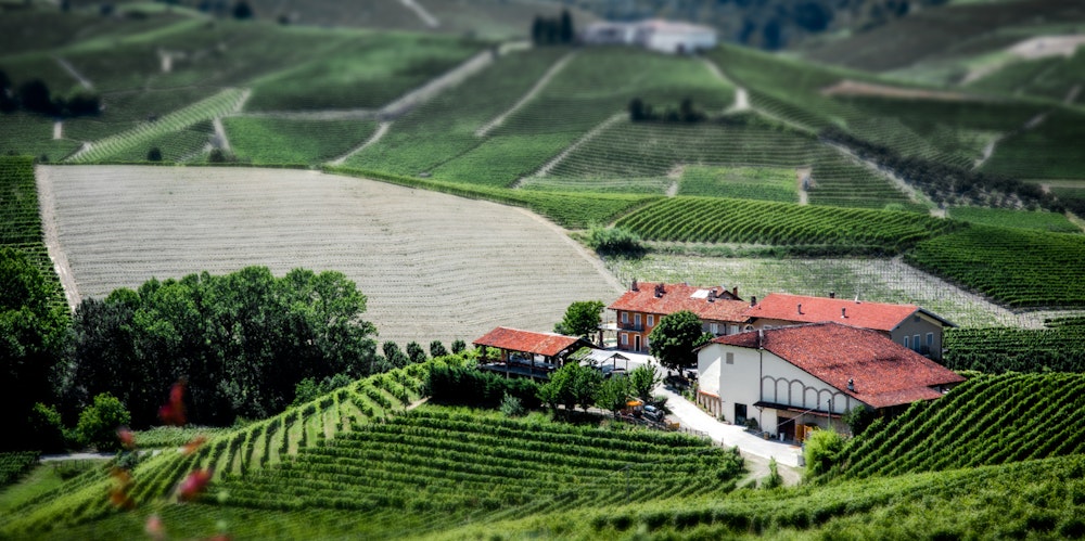 FRANCO CONTERNO CASCINA SCIULUN